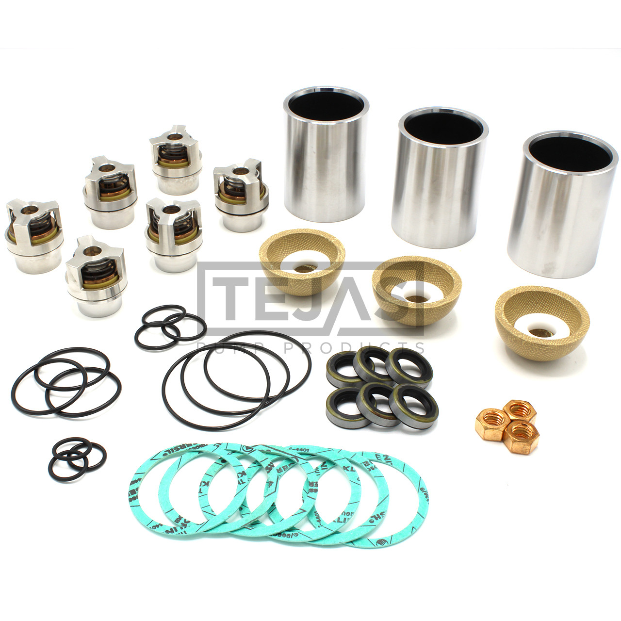 Tejas Pump Products | Your Piston & Plunger Pump Resource
