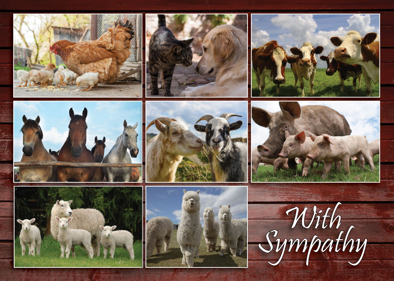 SYMFARM1 - Sympathy Card - Positive Impressions