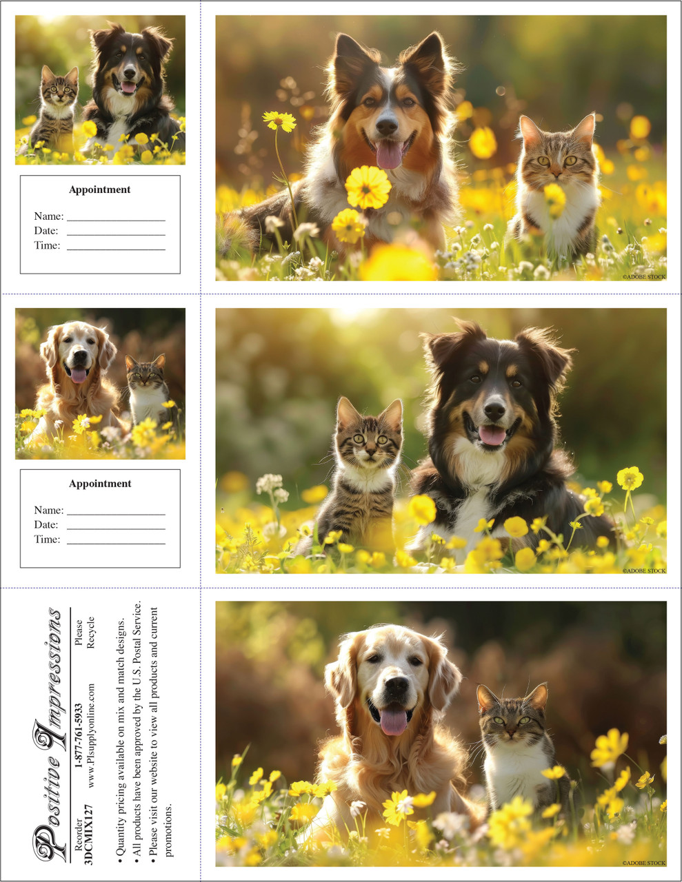 3-Up Veterinary Client Reminder Cards - 3DCMIX123