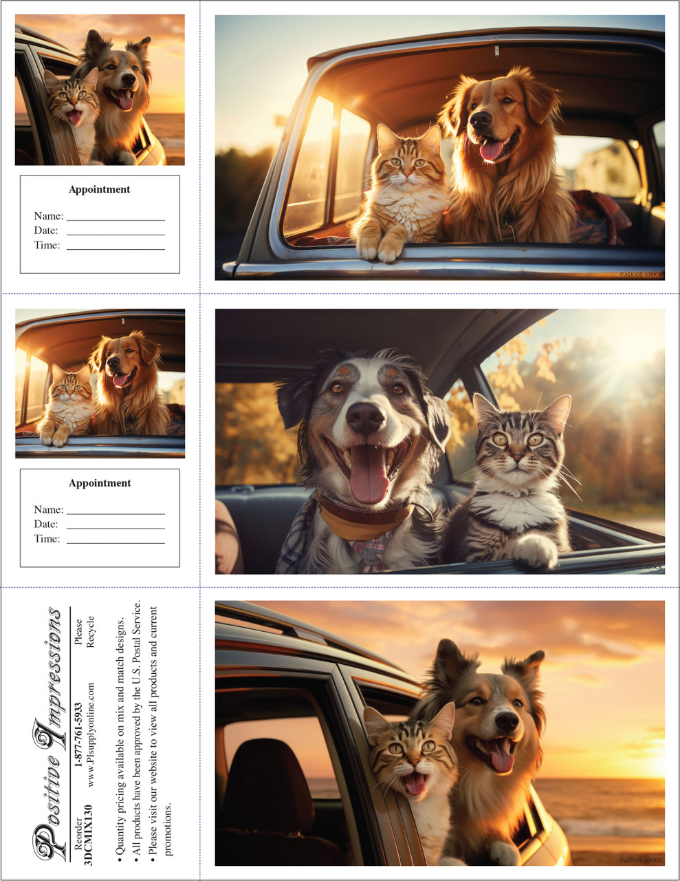 3-Up Veterinary Client Reminder Cards - 3DCMIX123