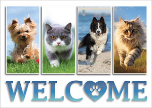Veterinary Welcome Cards - Positive Impressions