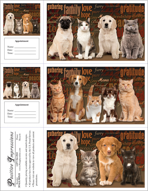 Veterinary Reminder Postcards | Positive Impressions