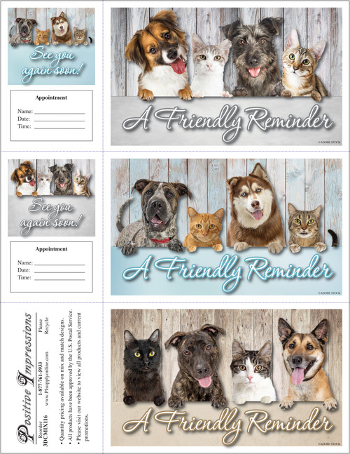 Veterinary Reminder Postcards | Positive Impressions