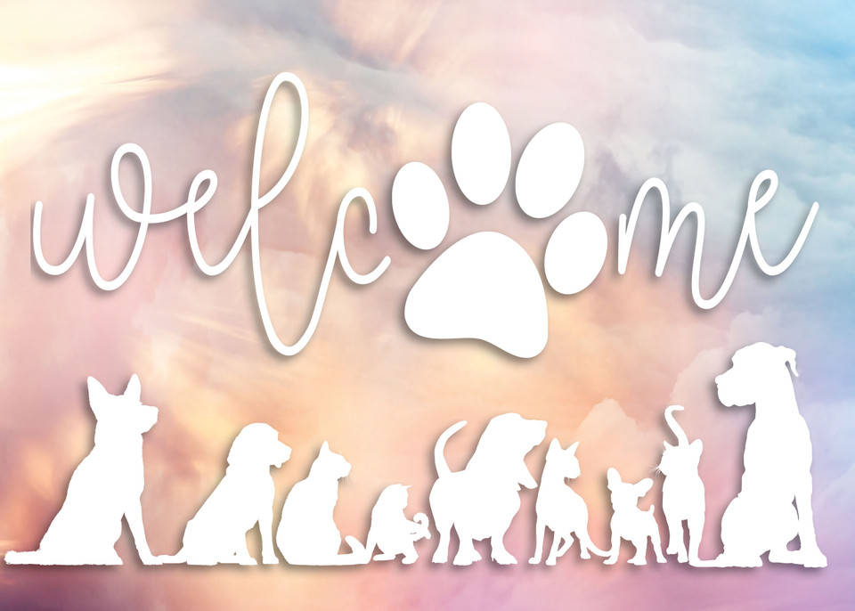 WELCOMEDC27 - Welcome Card - Positive Impressions