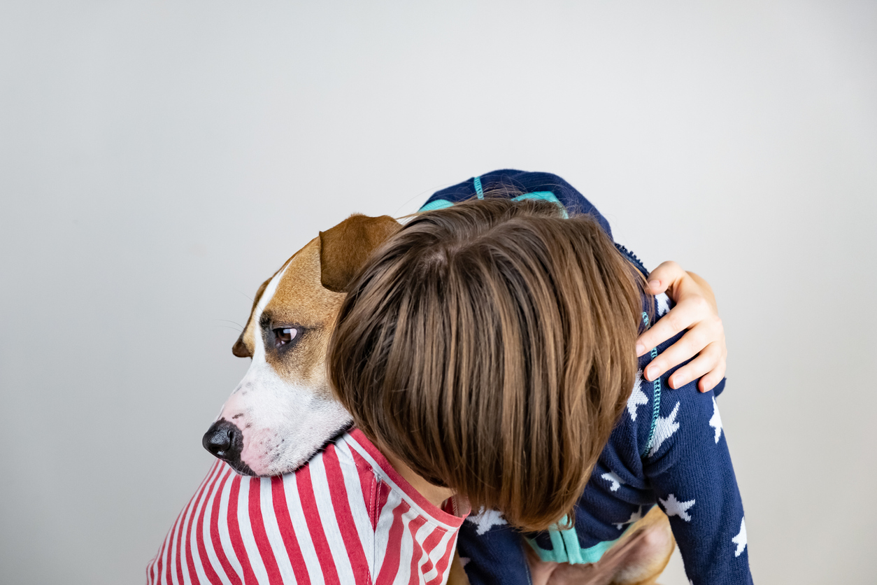 How Do Owners Approach Euthanasia? - Positive Impressions