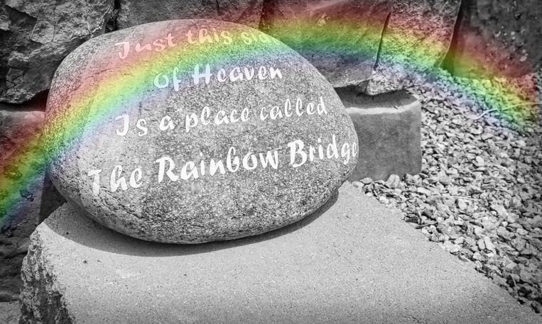 The History of the Rainbow Bridge - Positive Impressions