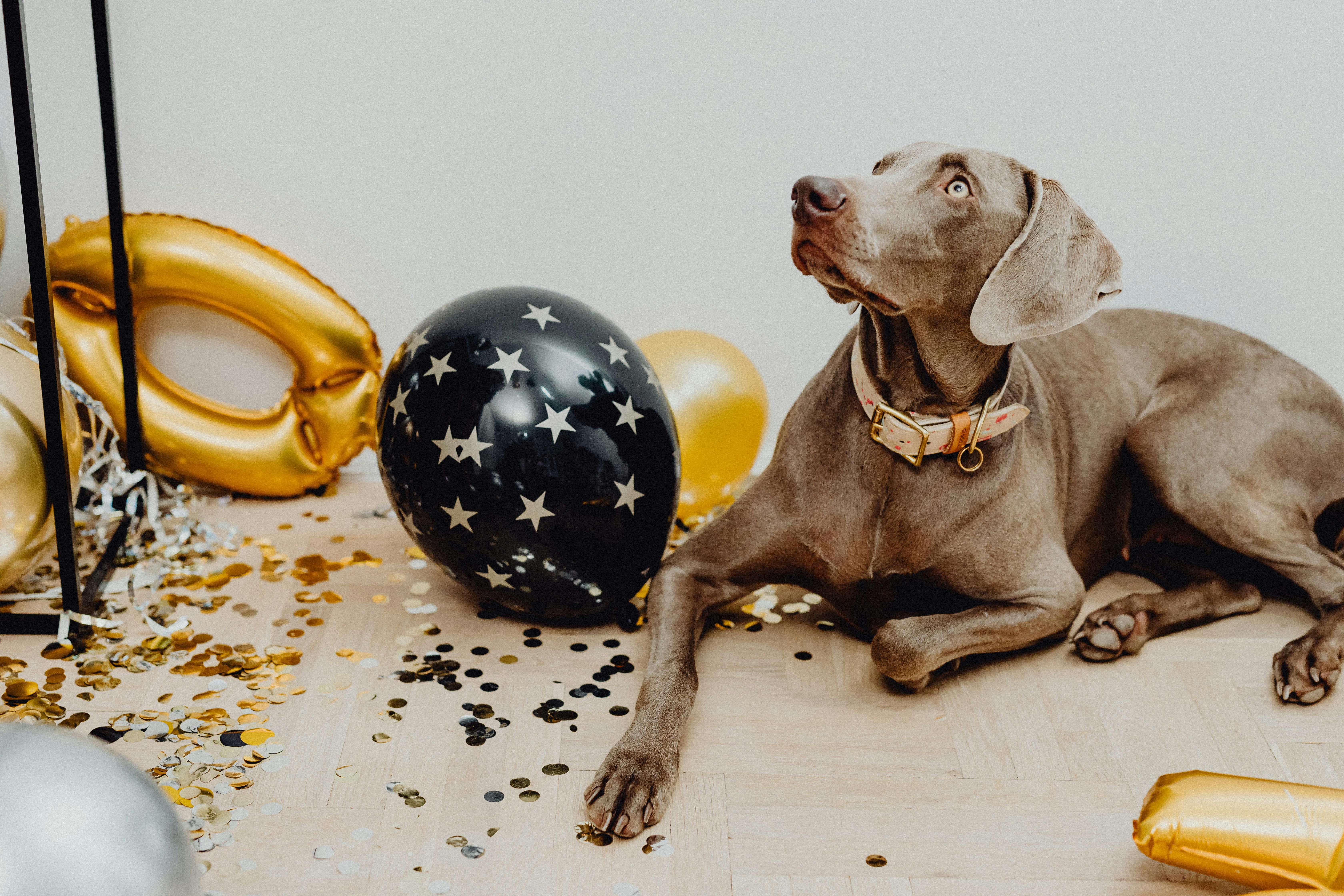How to Make Every Client Think of Your Clinic First - Positive Impressions