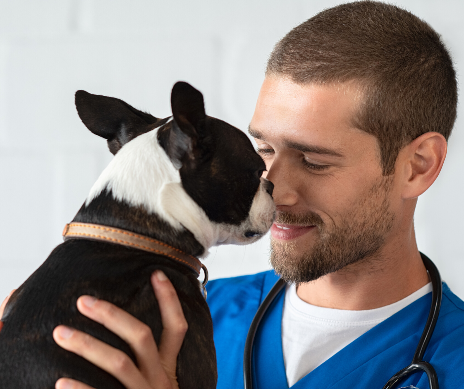 Managing Pet Health Information: A Lesson from DCM Issues Related to ...