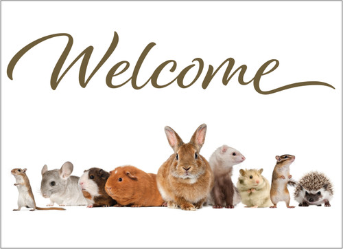 WELCOMEPETS1 - Welcome Card - Positive Impressions
