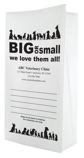 PFL56- Personalized Flat Bottom Paper Bag (Multiple Imprint Colors ...
