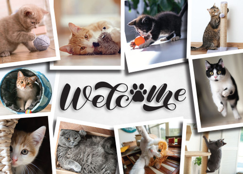 WELCOMECAT3 - Welcome Card - Positive Impressions