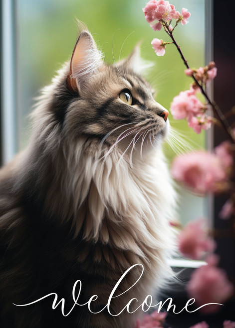 WELCOMECAT4 - Welcome Card - Positive Impressions