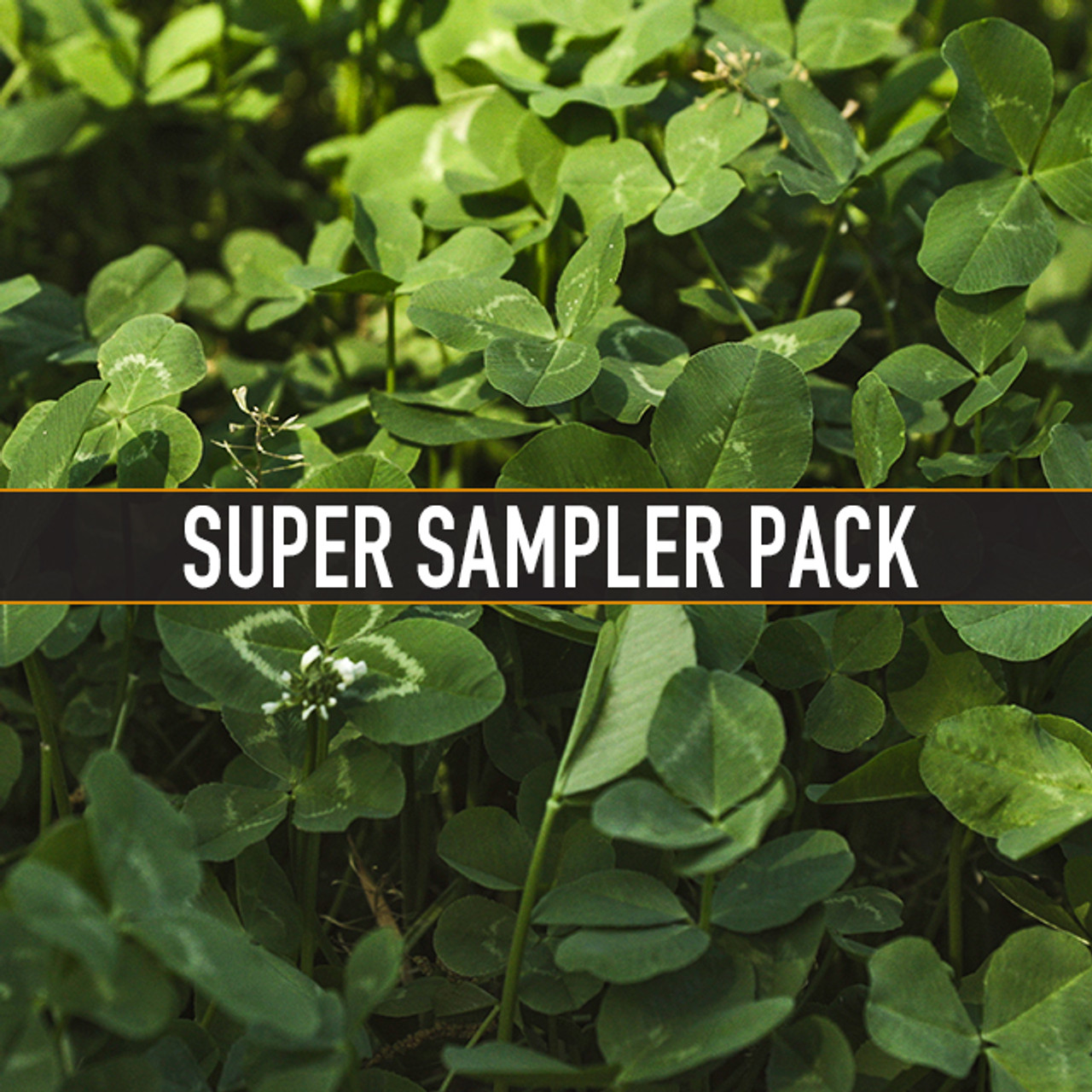 Fall Seed Planting | Best Fall Food Plot Seeds for Deer