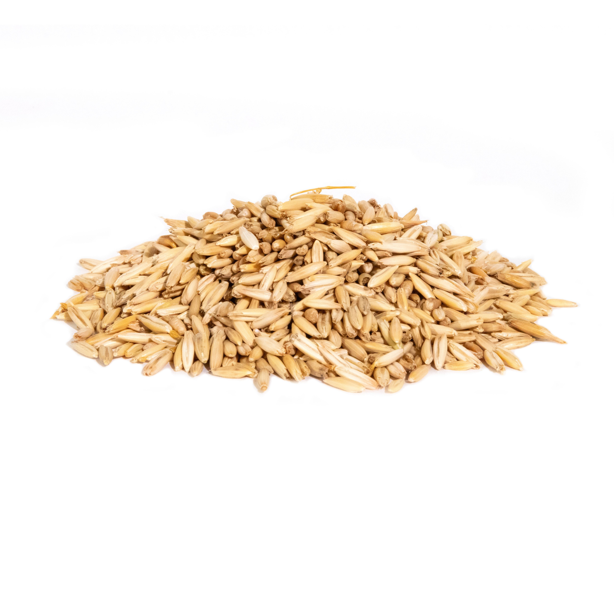 Imperial Whitetail Oats Plus (Annual) | Whitetail Institute