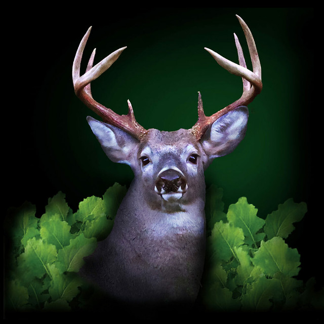 Deer Equipment - Feed Spreaders, Soil Probes, & More