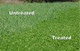 Arrest Max Grass Herbicide for Clover Food Plots - Sale