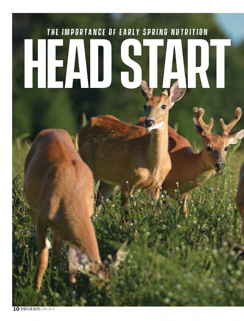 The Importance of Early Spring Nutrition - Whitetail Institute
