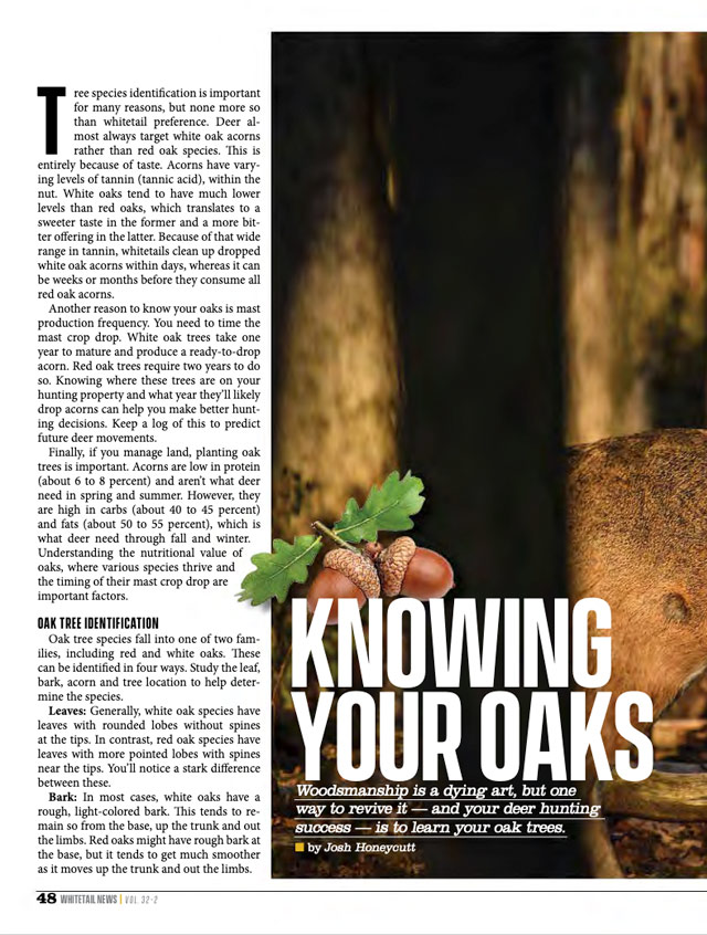 Knowing Your Oaks - Whitetail Institute