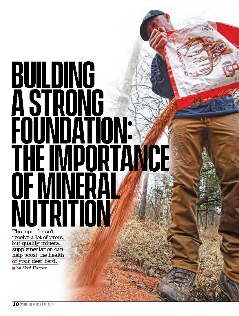 BUILDING A STRONG FOUNDATION: THE IMPORTANCE OF MINERAL NUTRITION ... BUILDING A STRONG FOUNDATION: THE IMPORTANCE OF MINERAL NUTRITION ...