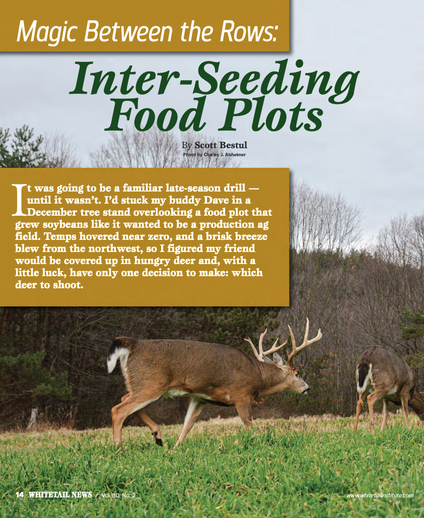 Magic Between the Rows: Inter-Seeding Food Plots - Whitetail Institute