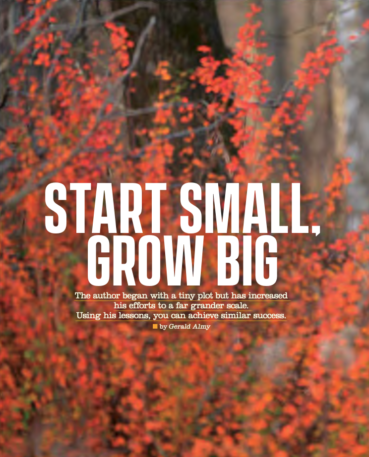 Start Small, Grow Big - Whitetail Institute