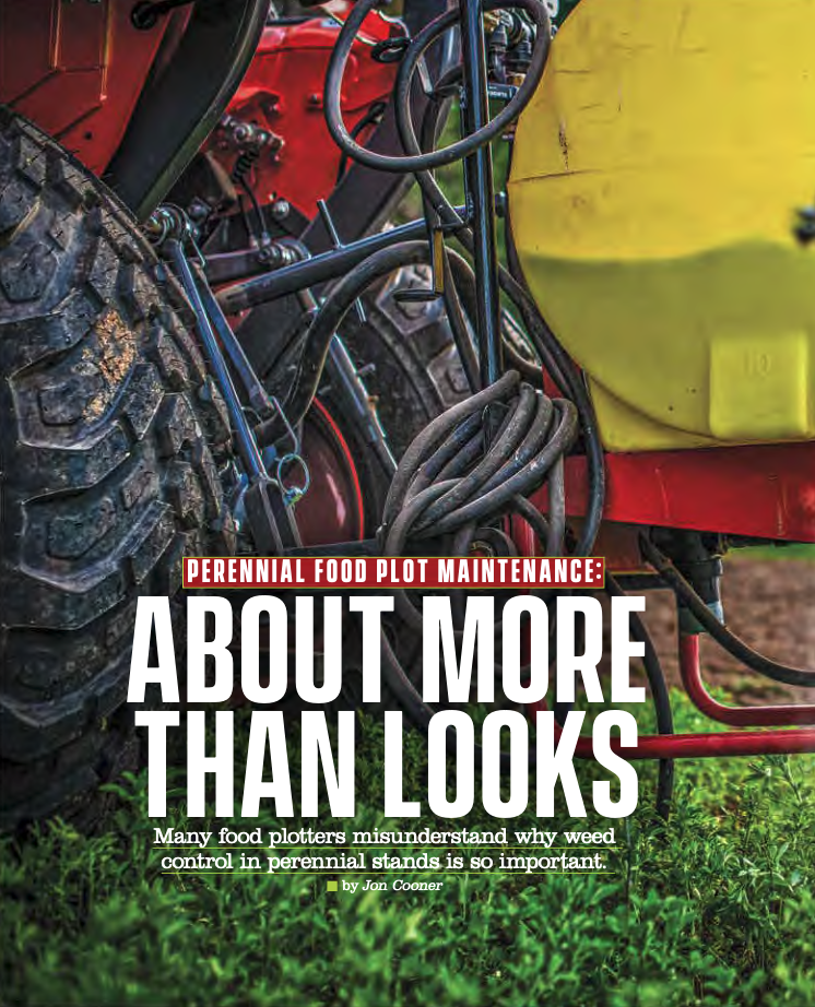 Perennial Food Plot Maintenance: About More Than Looks - Whitetail ...