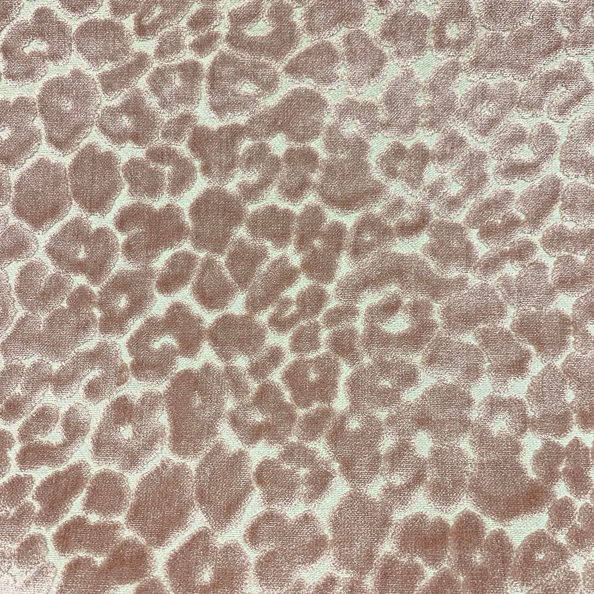 Landon Posey by Magnolia Fabric - Fabric Carolina