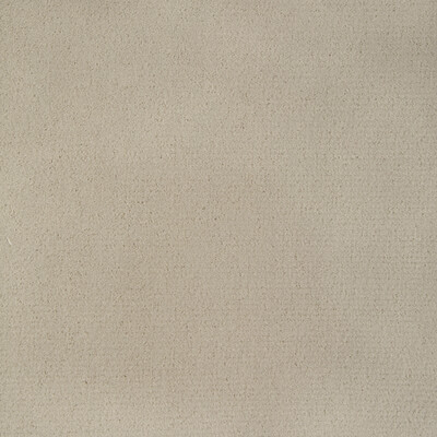 Fomo Au Lait by Kravet Fabric - Fabric Carolina