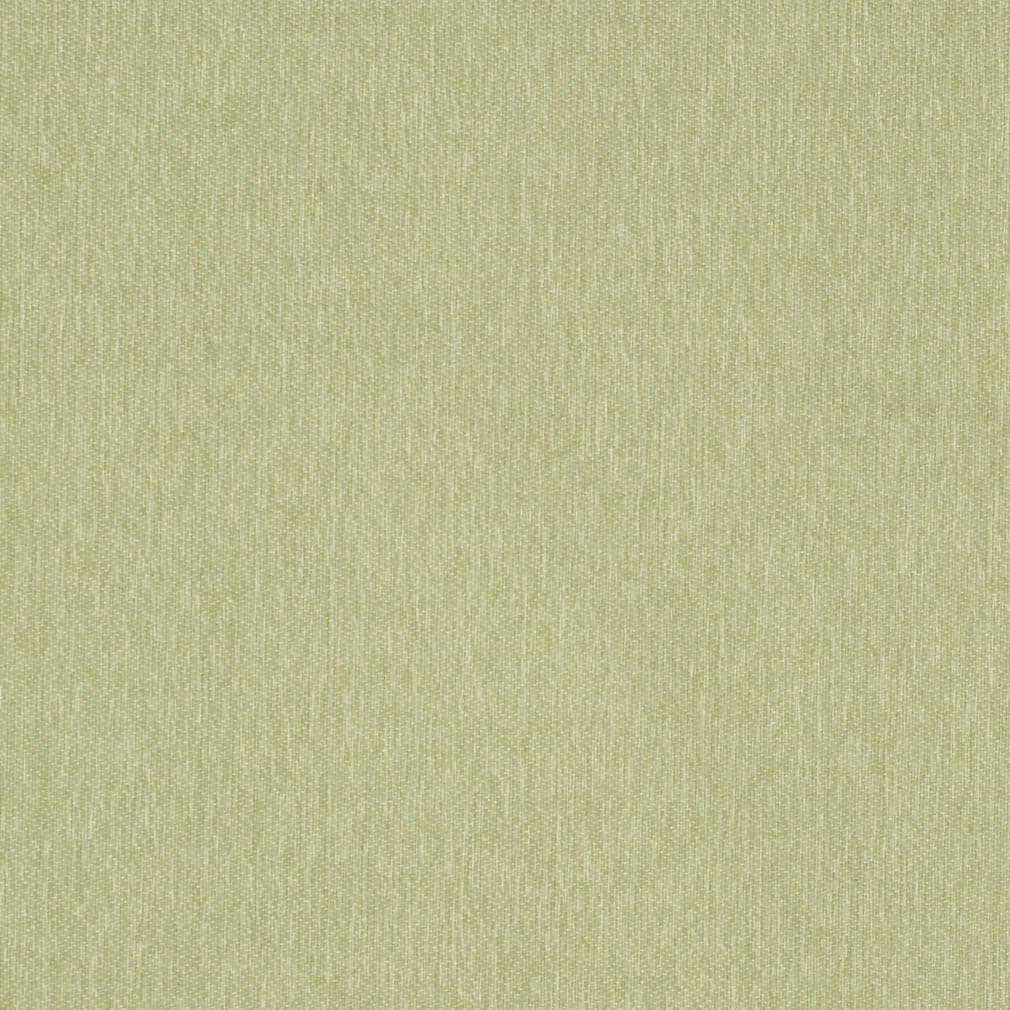 D3641 by Charlotte Fabric - Fabric Carolina