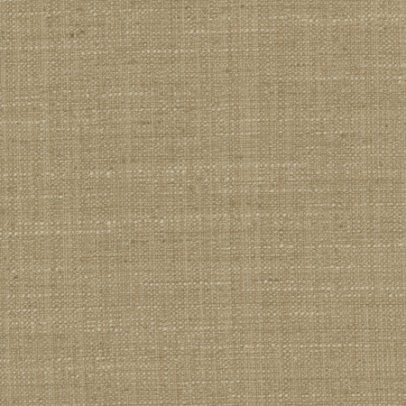 The Reason Is Wheat by Carole Fabric - Fabric Carolina