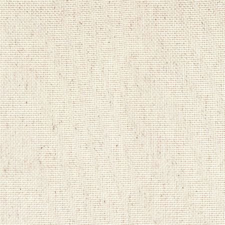 Grassway Bone by Carole Fabric - Fabric Carolina