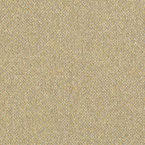D3273 by Charlotte Fabric - Fabric Carolina