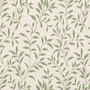 D3586 by Charlotte Fabric - Fabric Carolina