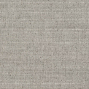 D3689 by Charlotte Fabric - Fabric Carolina
