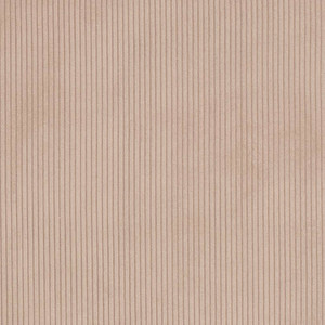 D3882 by Charlotte Fabric - Fabric Carolina