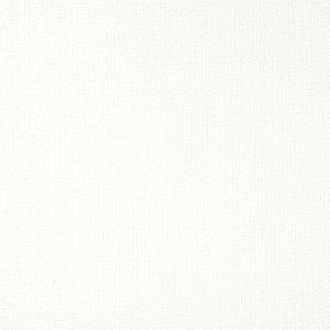 Veda Snow White W8707 by Thibaut Fabric - Fabric Carolina