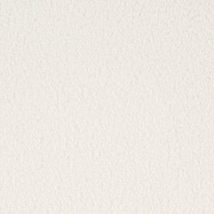 D4273 Pearl by Charlotte Fabric - Fabric Carolina