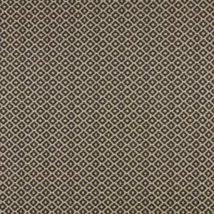 Moya 1 Charcoal by Marcus William Fabric - Fabric Carolina