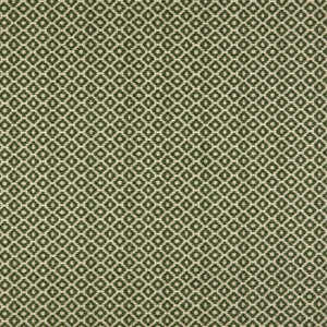Moya 2 Moss by Marcus William Fabric - Fabric Carolina