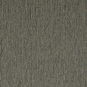 D4488 Zinc by Charlotte Fabric - Fabric Carolina