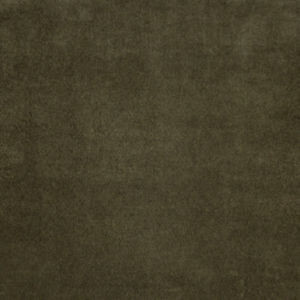 Puma Peat 859 by Norbar Fabric - Fabric Carolina