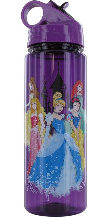 Disney Princess Castle Group Water Bottle