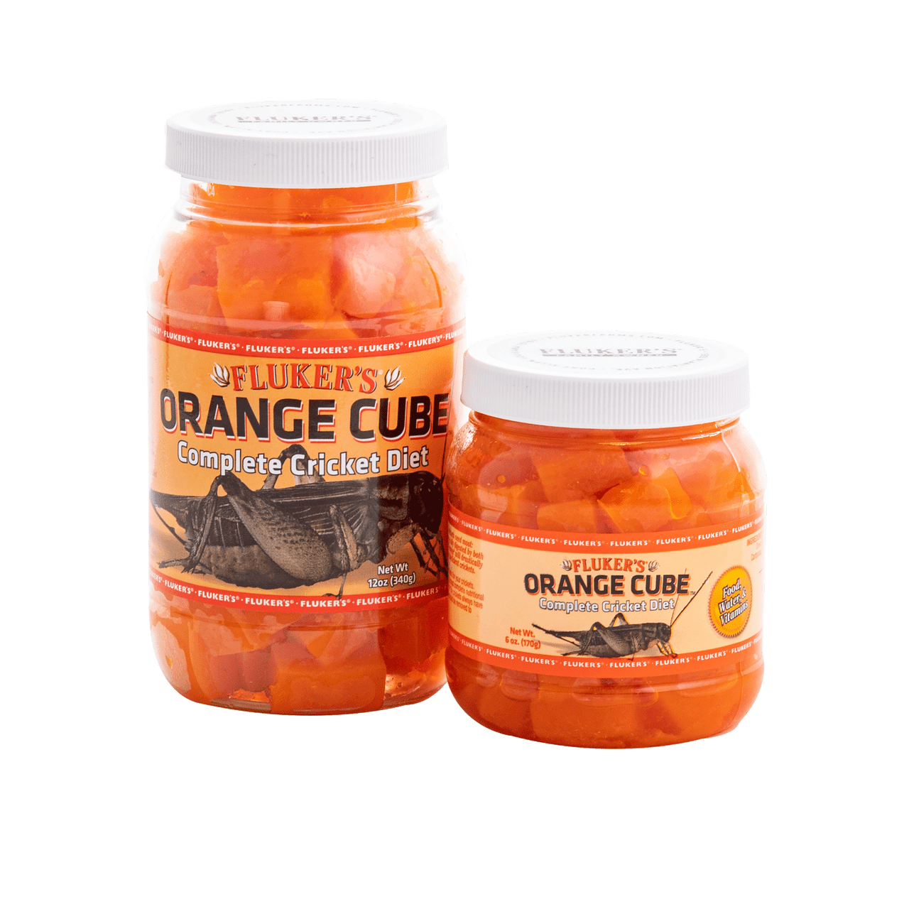 Orange Cube Cricket Diet