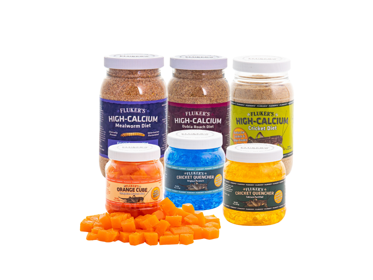 The Benefits of Gut-Loading Insects - Fluker's Cricket Farm