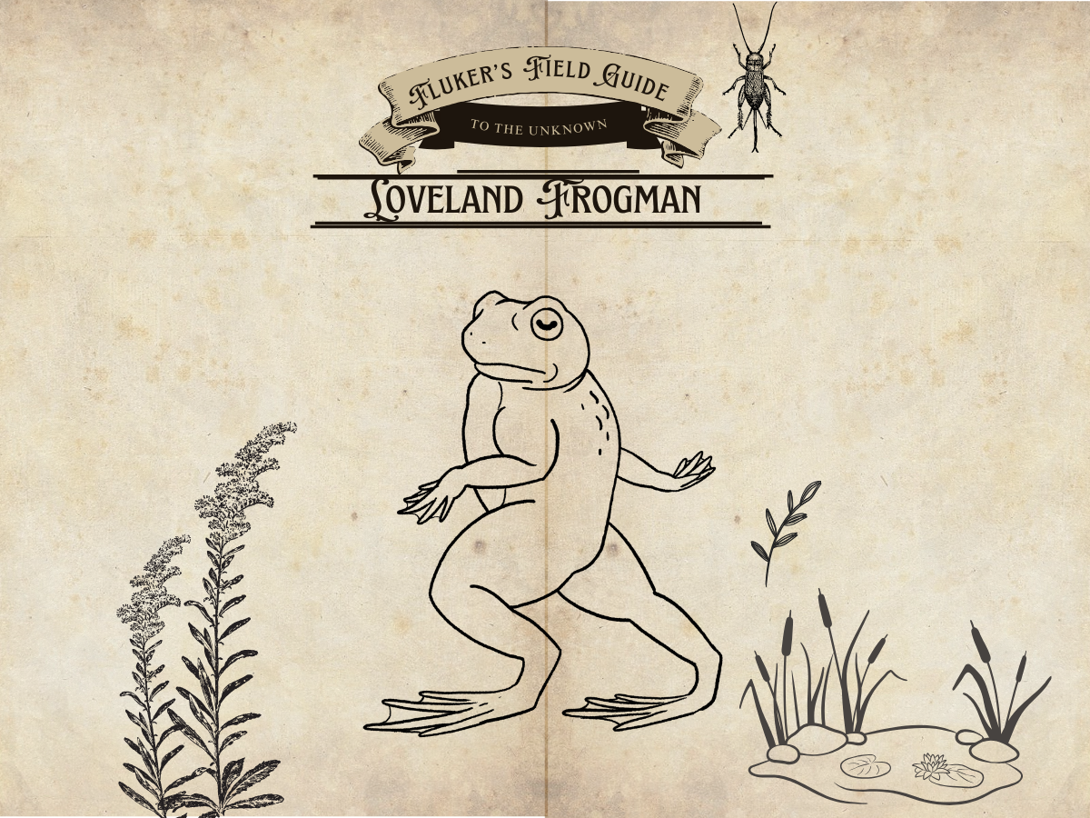 The Mysterious Case of Ohio’s Loveland Frogman - Fluker's Cricket Farm