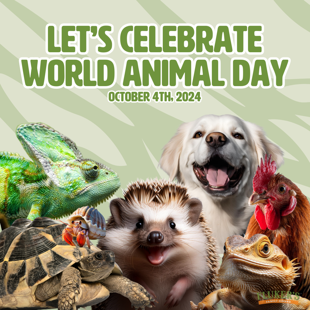 World Animal Day - October 4th - Fluker's Cricket Farm