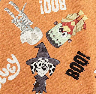 Halloween Bluey Square Trach