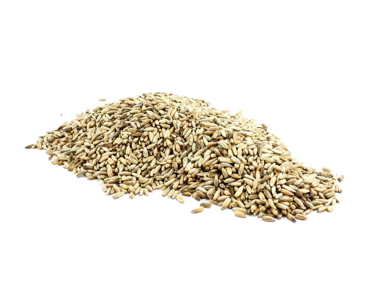 ORGANIC RYE GRAIN 500g