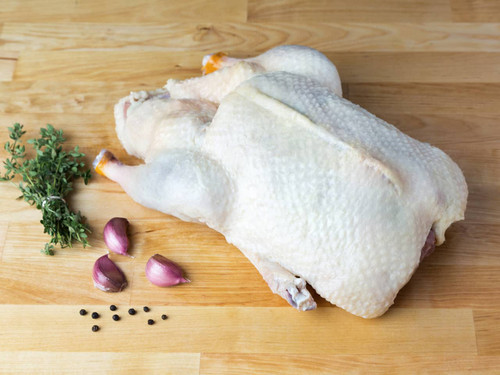 Whole Duck | Grow & Behold Kosher Pastured Meats