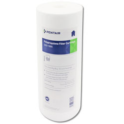 Pentek 155357-43, DGD-5005 Dual-Gradient Polypropylene, 10" | Serv-A-Pure